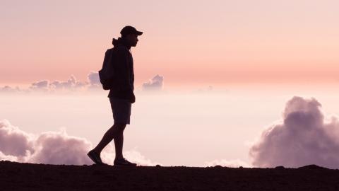Signals and risk factors | Open Arms