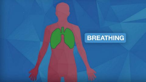 Keep calm and try controlled breathing | Open Arms